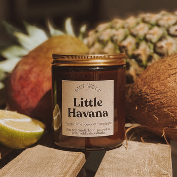 All Products | Shy Wolf Candles | Grey Highlands – Page 3