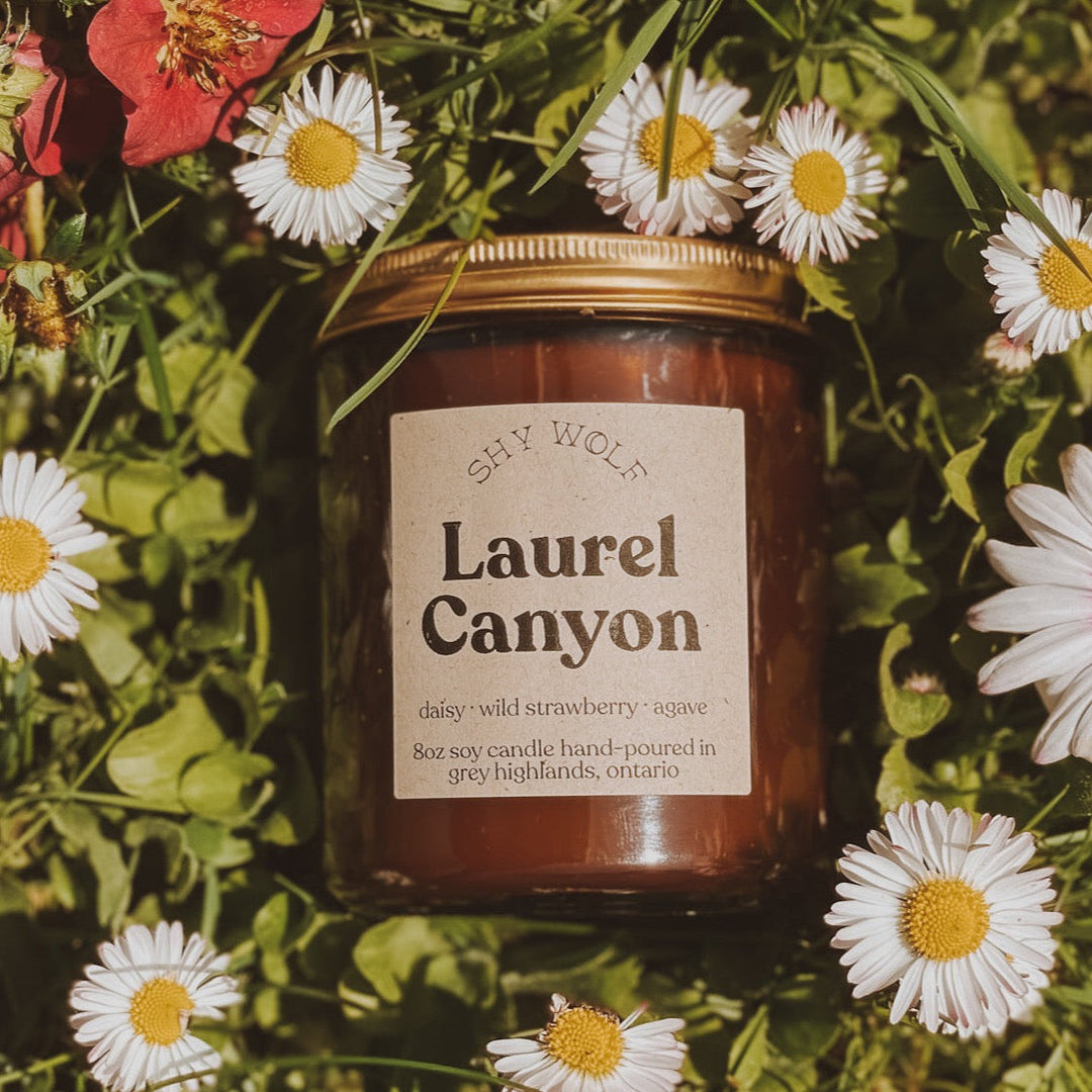 All Products | Shy Wolf Candles | Grey Highlands – Page 3